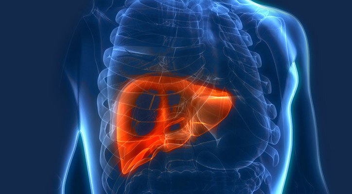 Liver Solutions | GE HealthCare (Japan)