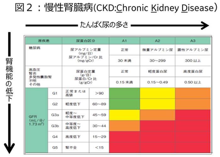 顕著に認められる。