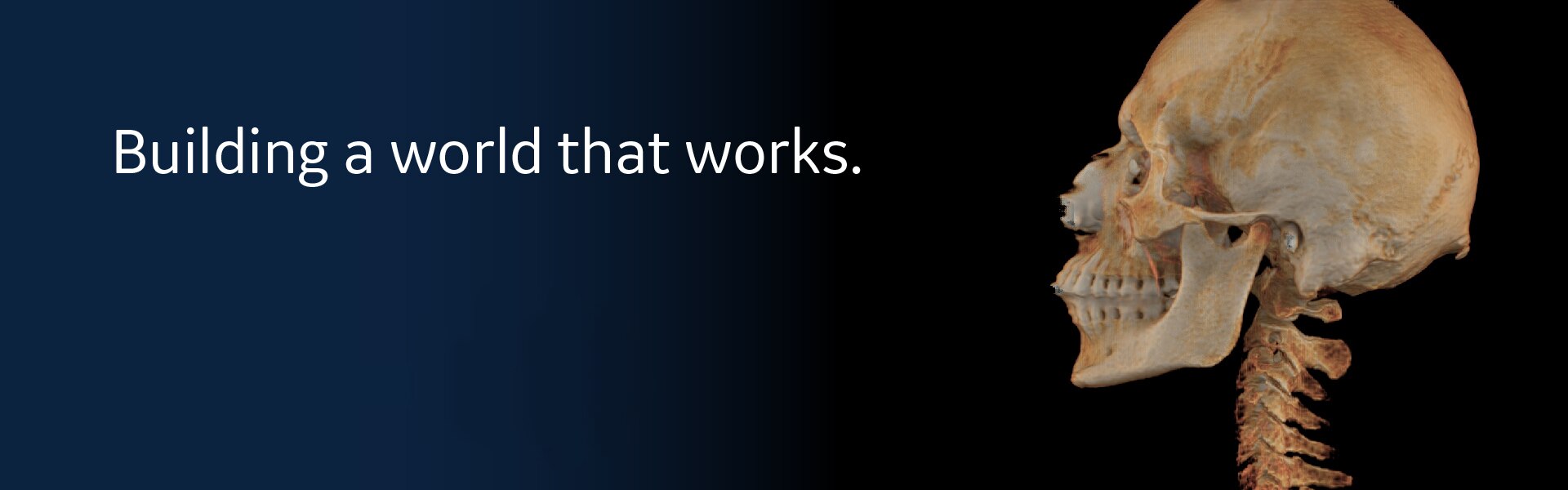 Imaging | GE Healthcare (Japan)