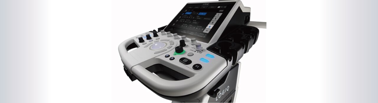 LOGIQ P10 | GE Healthcare (Japan)